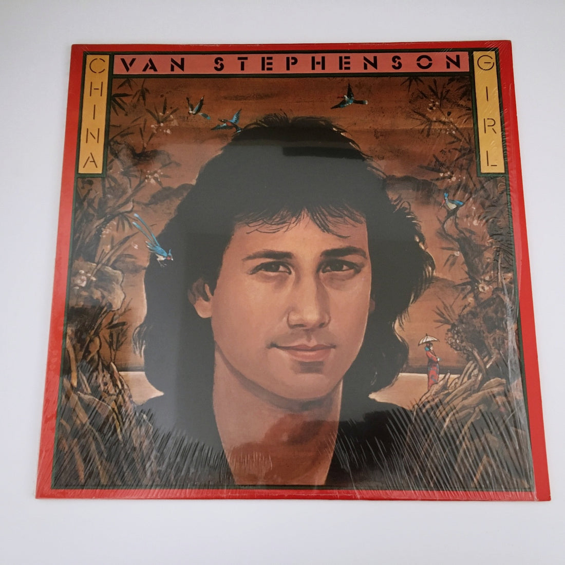 LP/ VAN STEPHENSON / CHINA GIRL / US盤 HANDSHAKE FE37430 – REALLY GOOD